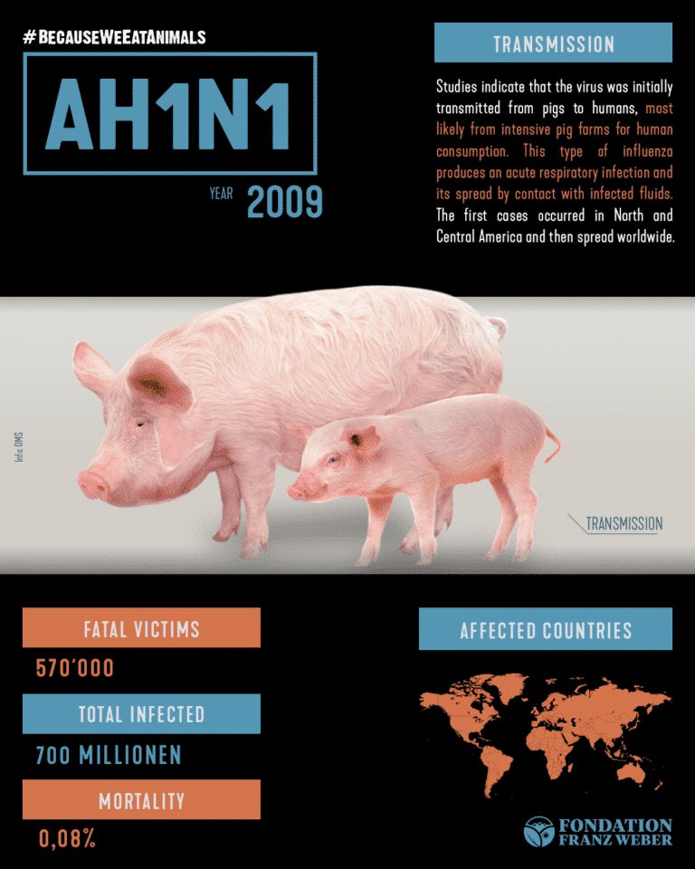 Fondation Franz Weber | #BecauseWeEatAnimals: AH1N1, the influenza virus