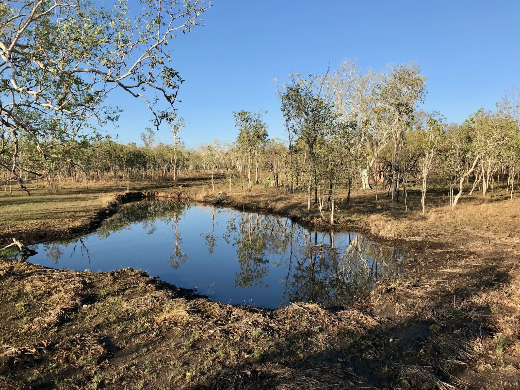 When the Rainy Season Begins on Bonrook | Fondation Franz Weber